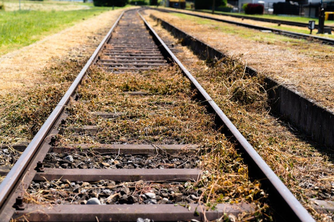 Rückblick RailEX-Event in Ramsen CH